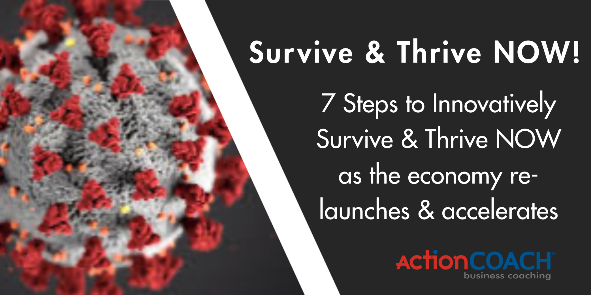 Webinars - ActionCOACH